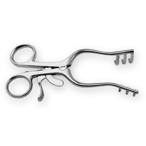 Ecarteur Weitlaner Wullstein courbe mousse 3 x 3 griffes L:13cm