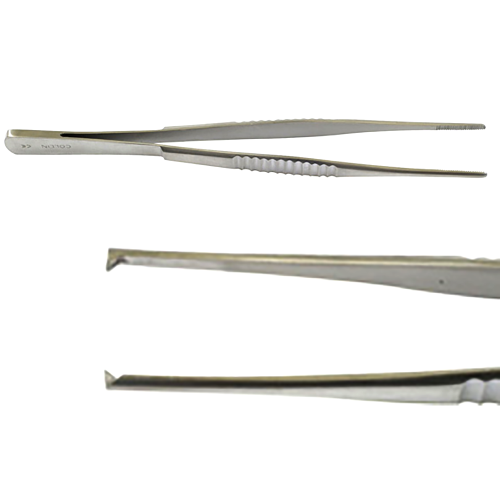 Pince à dissection Standard