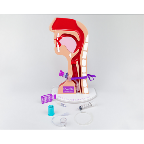 Modèle Pocket Tom dimensions réduites pour éducation en trachéotomie